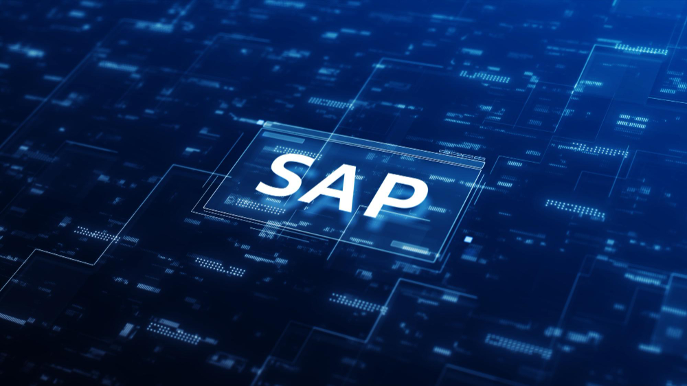 Understand SAP ERP in 1 Minute! - VTI